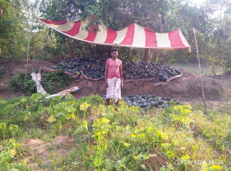 SUCCESS STORY- पारंपरिक खेती की पहचान रखने वाले डुमरिया के किसान कर रहे ...